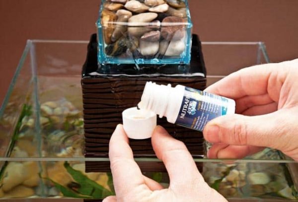 The Best Aquarium Water Conditioners for Healthy Aquatic Water