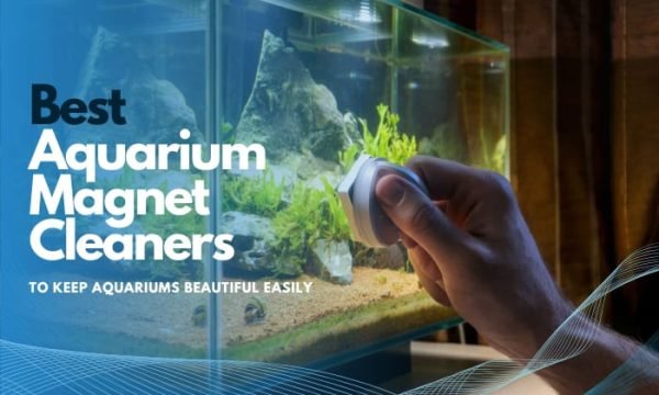 The Best Aquarium Magnet Cleaners for Easy Maintenance