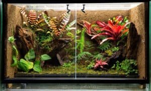 How to Make a Terrarium in a Fish Tank? - 10 Steps (w/Photos)