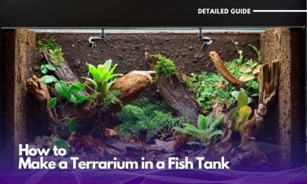 How to Make a Terrarium in a Fish Tank? - 10 Steps (w/Photos)