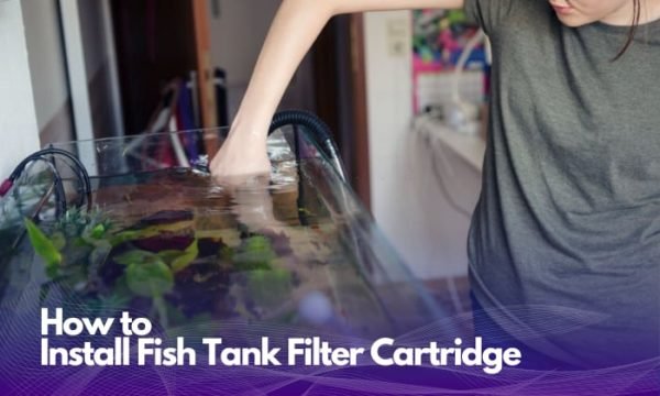 How to Install Fish Tank Filter Cartridge? - 10 Easy Steps