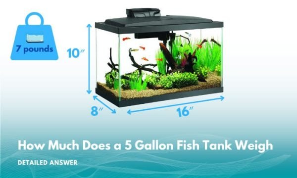How Much Does a 5 Gallon Fish Tank Weigh? Find Out Here!